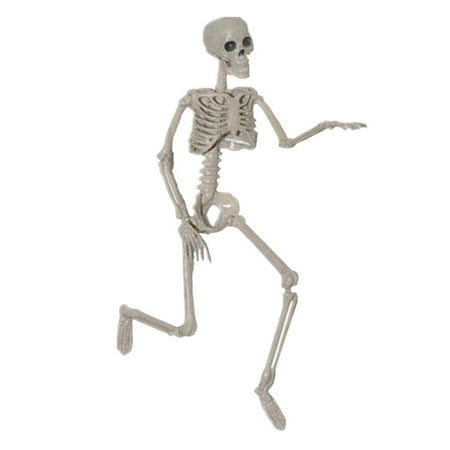 Skeleton Realistic Halloween Party Grave Lawn halloween party human ...