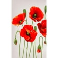 CafePress - Painted Red Poppies Area Rug - 3'x5' Decorative Area Rug ...
