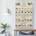 Tea Chart Poster Types of Teas Poster - Walmart.com