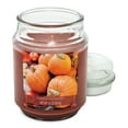 Aromance 18oz Pumpkin Mcintosh Scented Bubbble Lid Jar Candle - Walmart.com