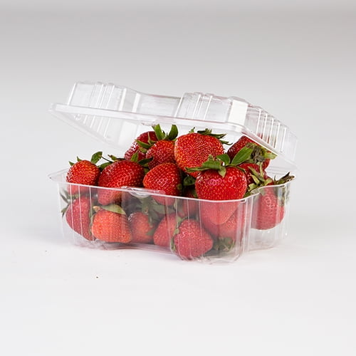 1 Quart Plastic Containers Lids