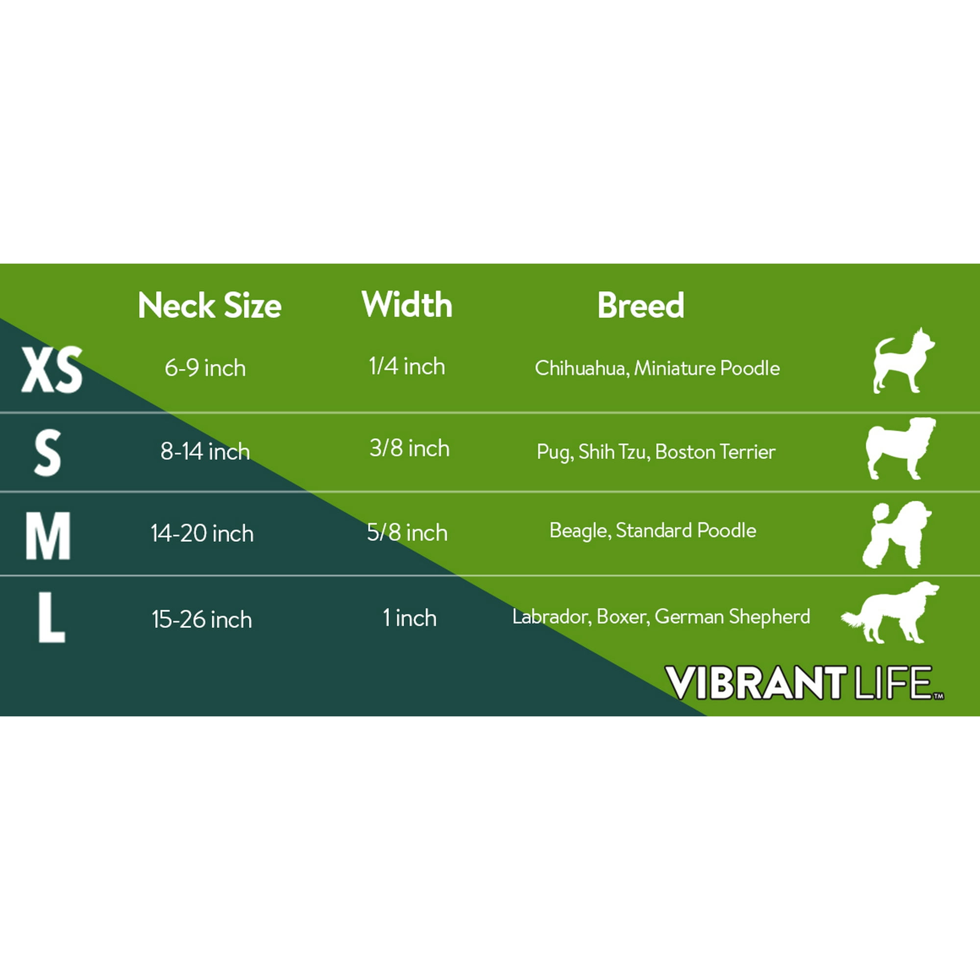 Miniature Poodle Size Chart