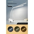 Dual Head LED Desk Lamp with Clamp, Eye-Caring Clip on Lights for Home ...
