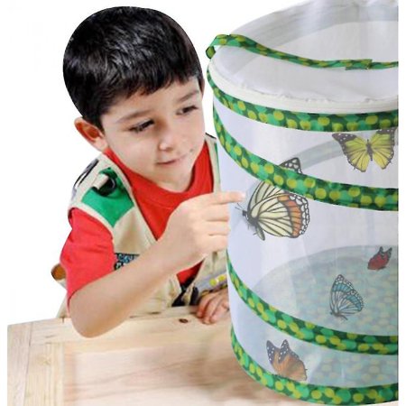Round Bucket Green Leaf Edging Butterfly Cage Insect Terrarium Can Be ...