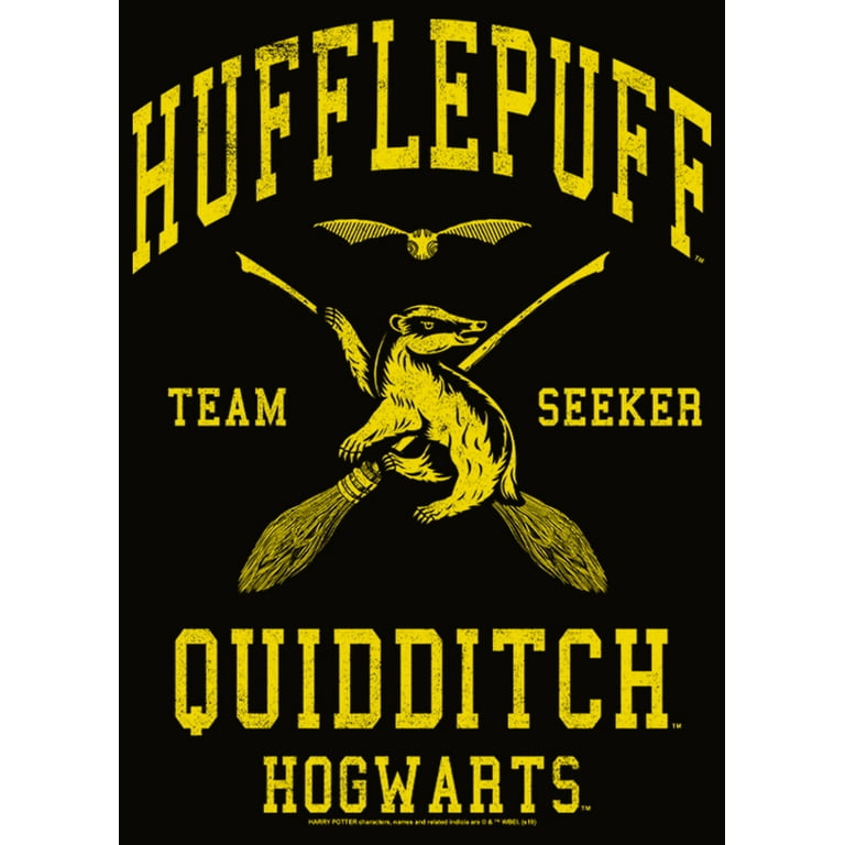 Quidditch Seeker