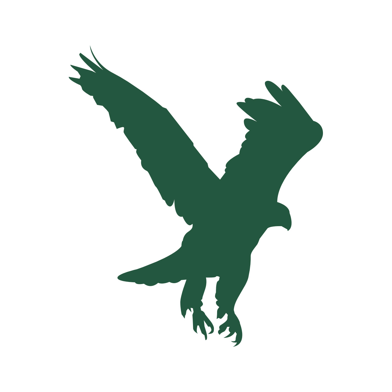 Eagle Sticker Decal Die Cut - Self Adhesive Vinyl - Weatherproof - Made ...