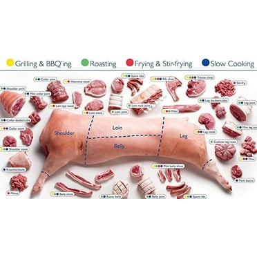 Angus Beef Chart Meat Cuts Diagram Poster 11in x 17in Mini Poster 11 x ...