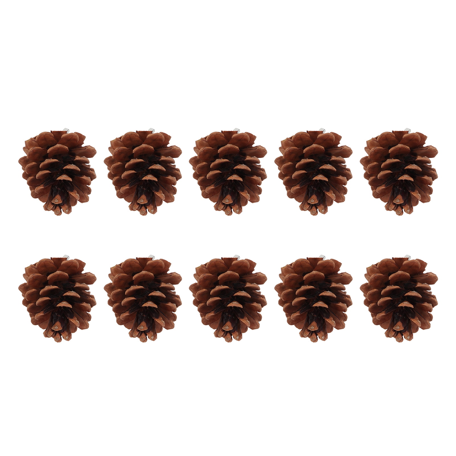 Pine Cone Chewing Bird Toy, 6cm / 2.4in Natural Nut Fix Parrots Chewing ...