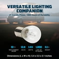Camco 1141 Auto/RV Backup Light Bulb, 12.8V, 1.44W, 21 Candle Power ...