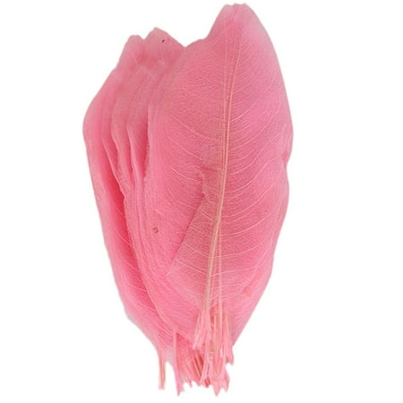 50x Natural SKELETON LEAVES Craft CARD Embellishments Bookmarks DIY ...