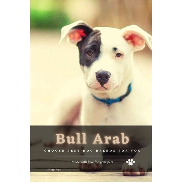 Bull Arab Hunting Dogs Info About Whats This
