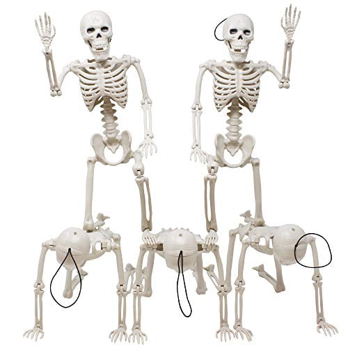 Posable Halloween Skeletons, Full Body Posable Joints Skeletons 5 Packs ...