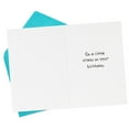 Hallmark Shoebox Funny Birthday Greeting Card (Go a Little Crazy ...