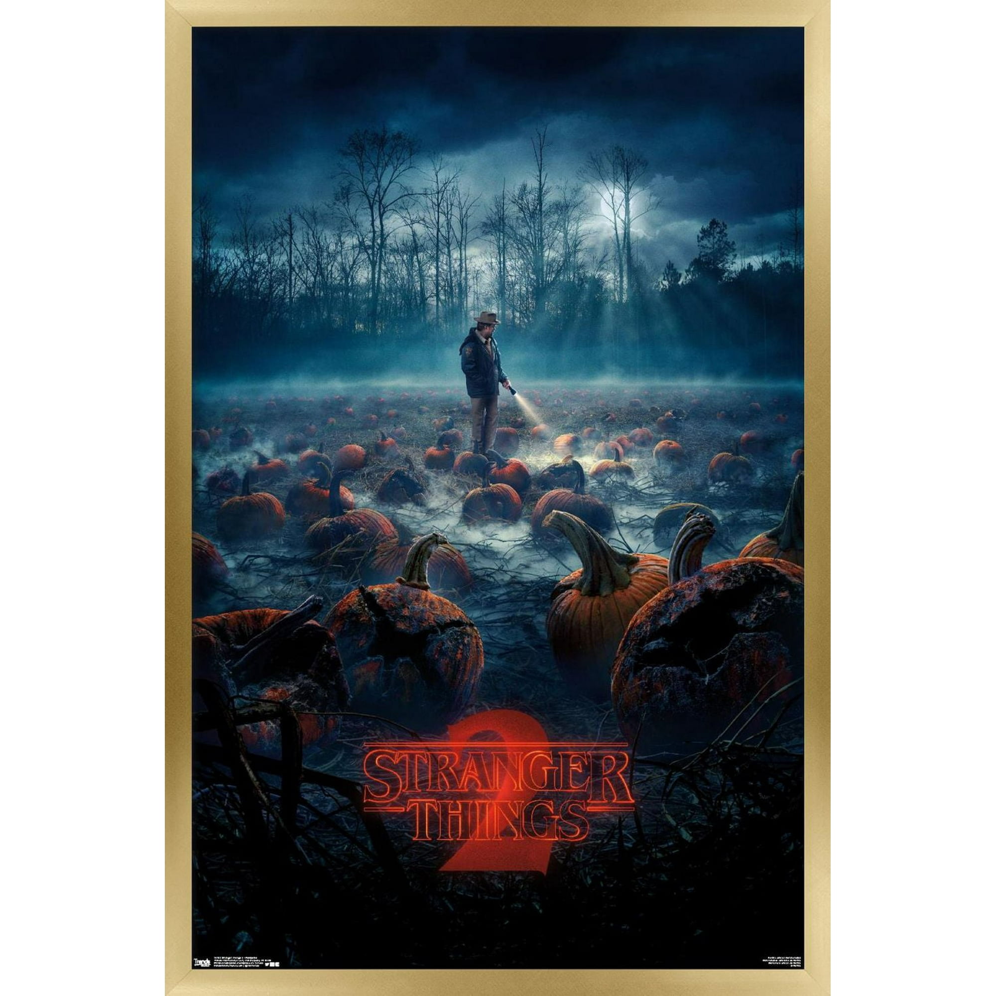 Click here for Trends International Netflix Stranger Things: Seas... prices