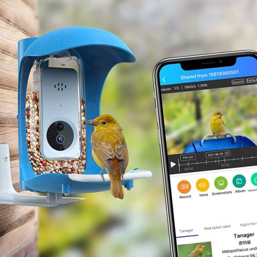 Birddock Digital Outdoor Hummingbird Feeder with AI Camera and SD Card ...