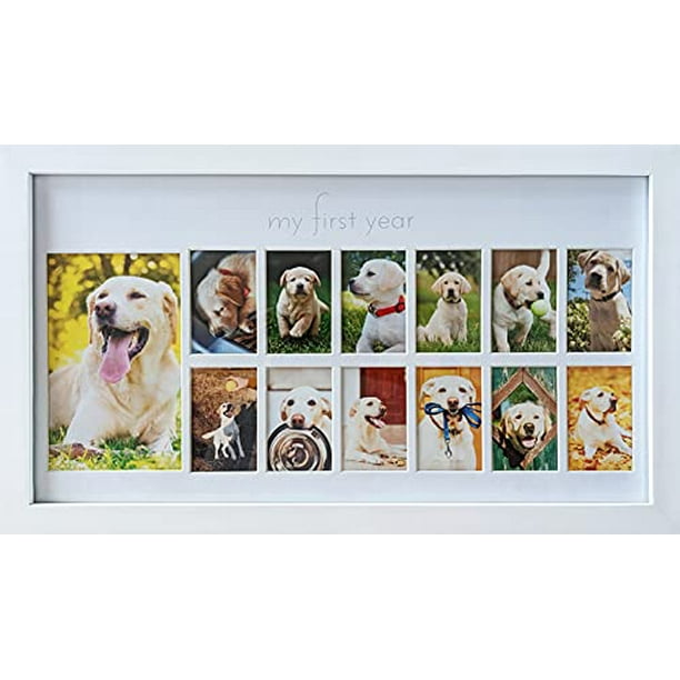 Dog Picture Frames