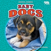Baby Animals (Board Book) - Walmart.com