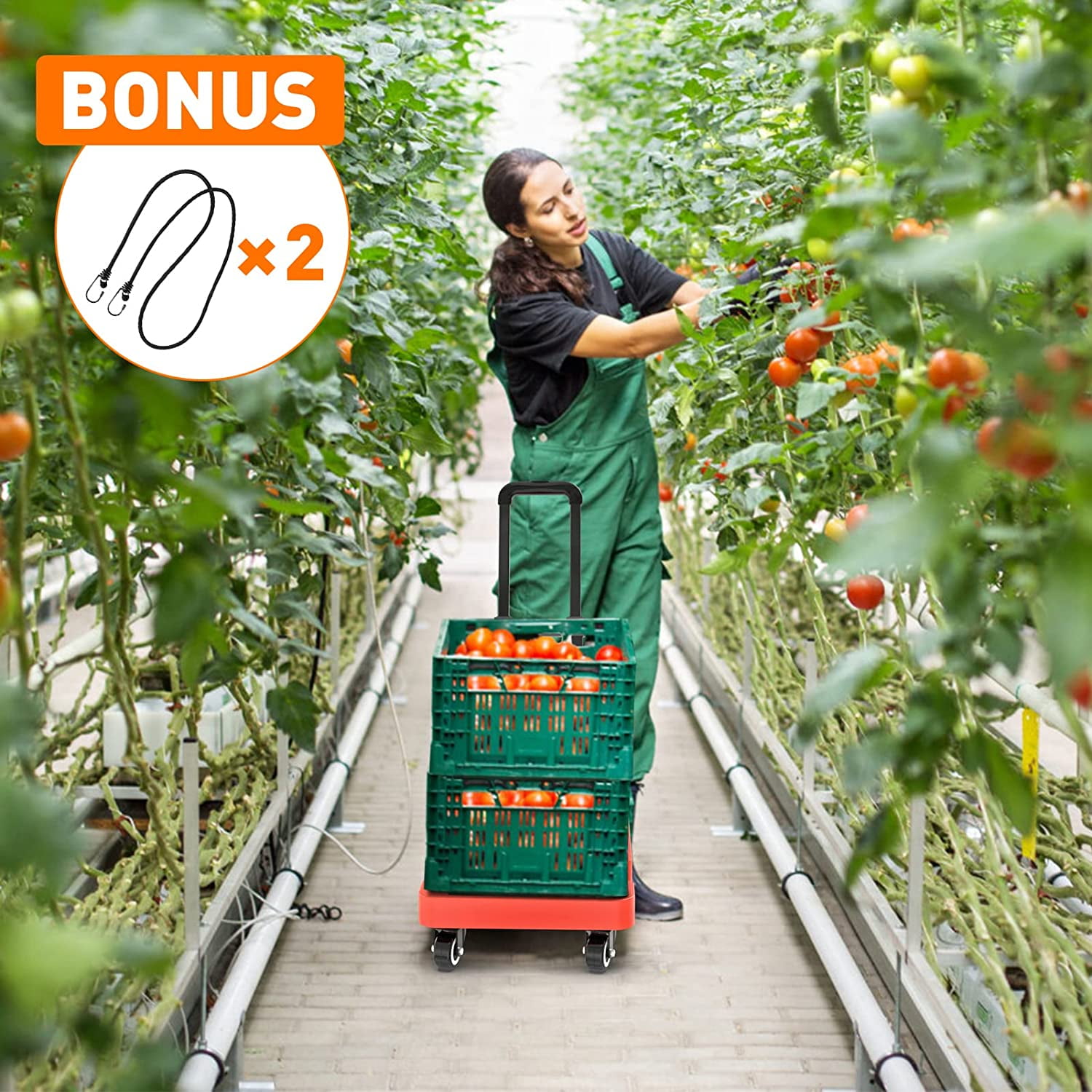 Buy Tetee Folding Hand Truck, 6 Wheels Fold Up Hand Cart with 2 Elastic ...