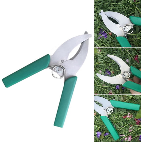 Ring Cutters