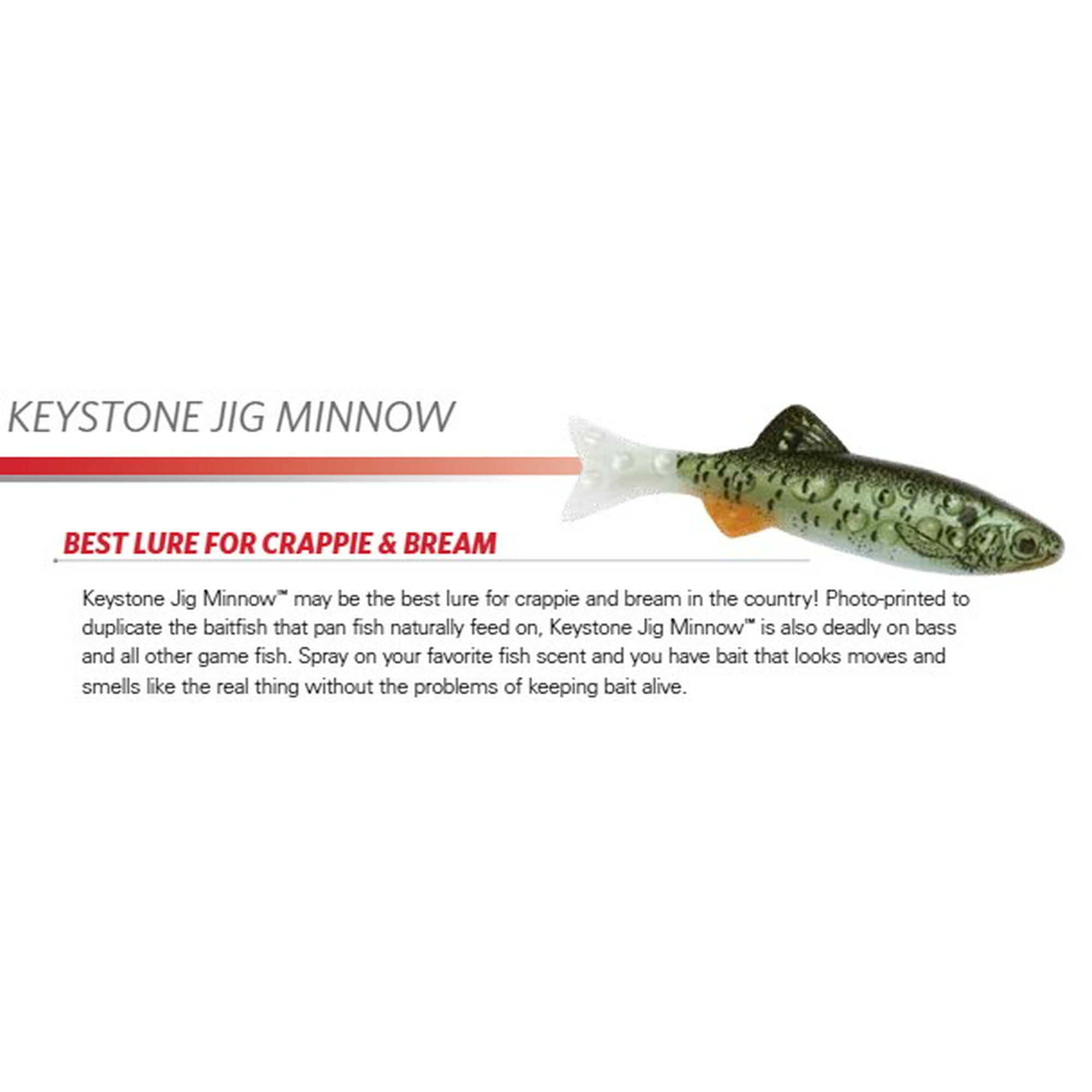 Crappie Minnows