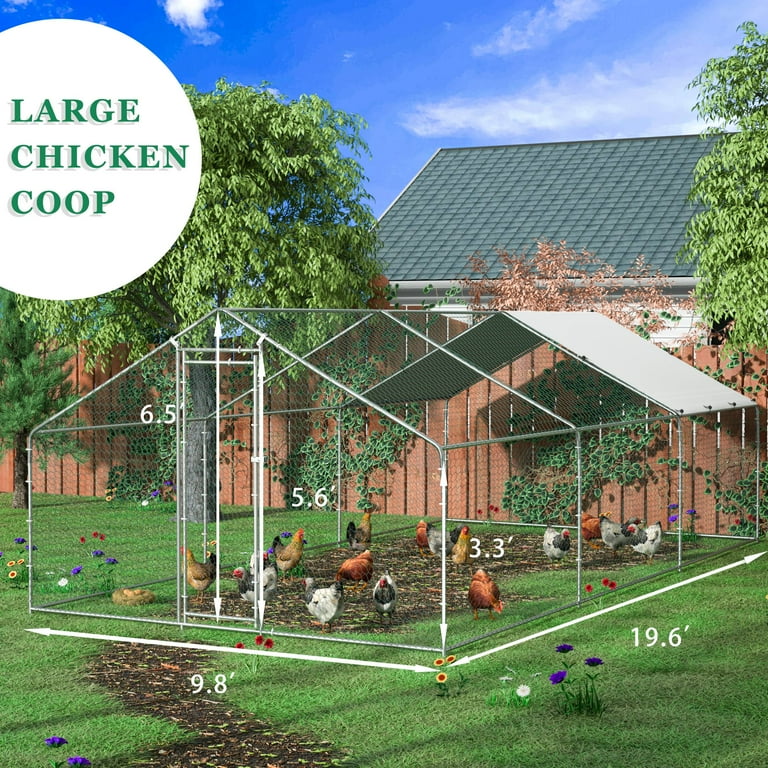 Large Chicken Run Plans