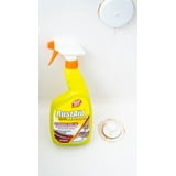 Goof Off RustAid 22 oz. Spray Bottle - Bathroom Rust Stain Remover ...