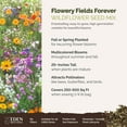 Eden Brothers Flowery Fields Forever Flower Mixed Seeds for Planting, 1 ...