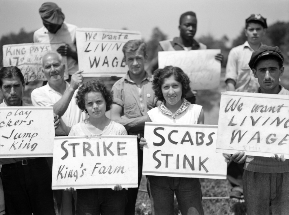 Farm Strike 1938 Nthe Picket Line At The King Farm Strike In ...