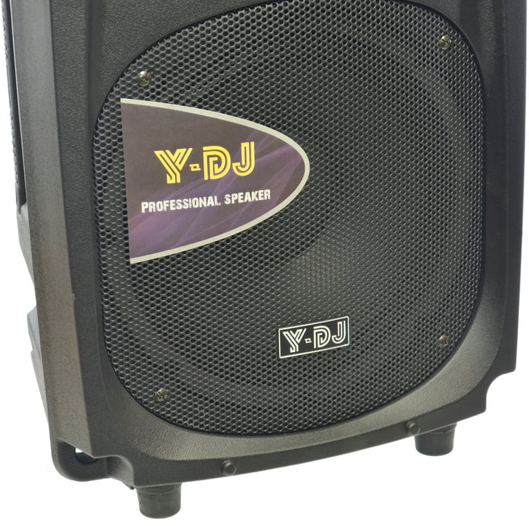 Pro Audio Dj Speakers