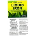 Southern Ag Chelated Liquid Iron, 16 fl oz, Treats Chlorosis, Lawn and ...