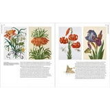 Maria Sibylla Merian: Artist, Scientist, Adventurer, (Hardcover ...