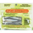 Magic Emerald Shiner Minnows Package - Walmart.com