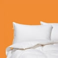 Walmart White Goose Feather Pillow, Firm Support, Standard Size 2-Pack ...