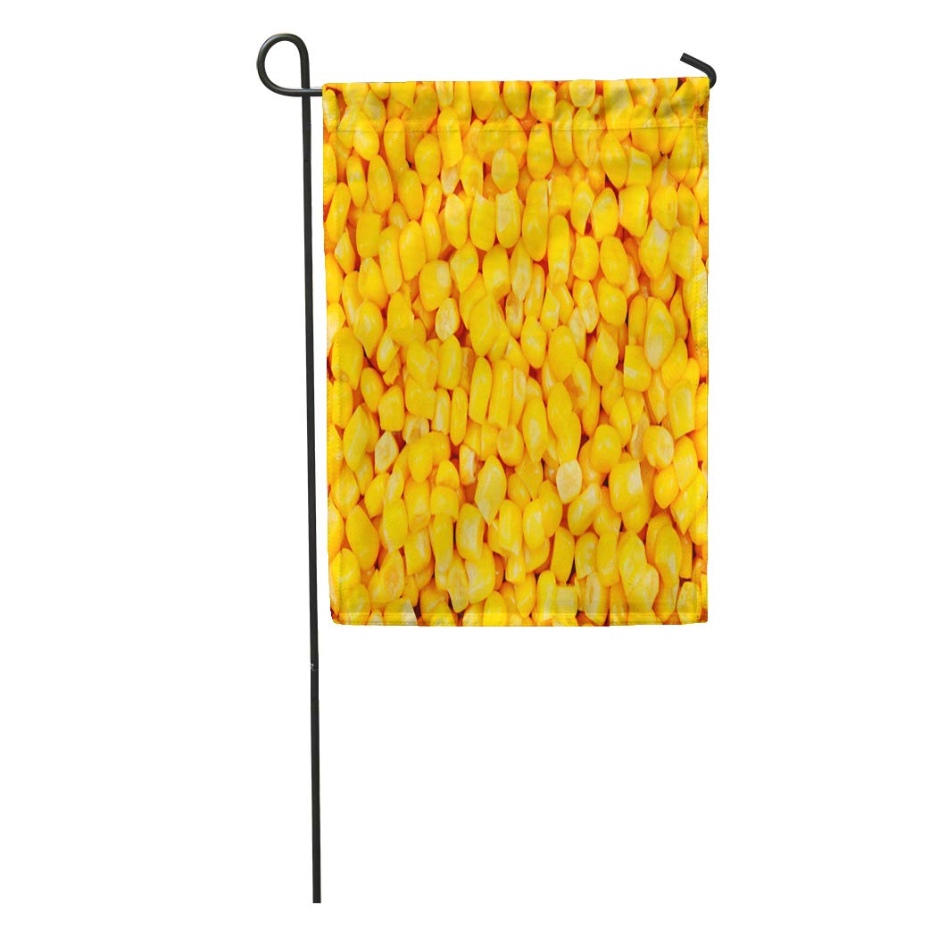 LADDKE Beautiful Corn Yellow As Vegetable Pattern of Bulk Grains Shiny ...