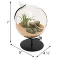Panacea Desktop Glass Terrariums w/Metal Stands, Pack of 2 - Walmart.com