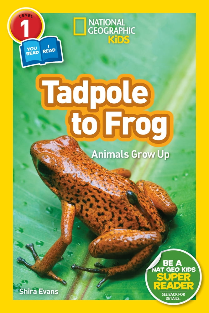 Pre-Owned Tadpole to Frog (National Geographic Kids Readers, Level 1/Co ...