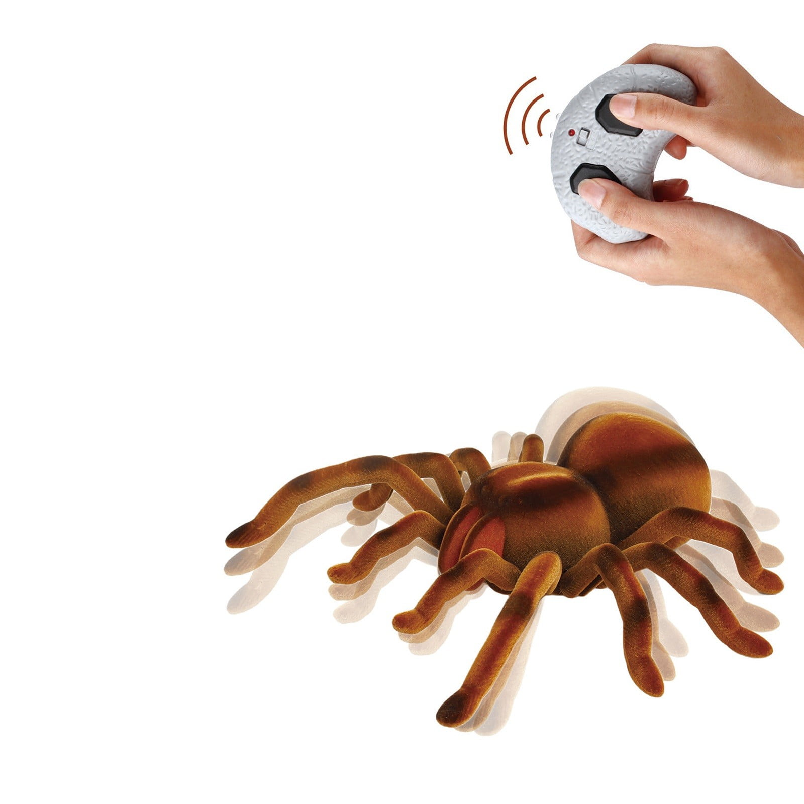 Click here for Generic Large Size Realistic Motion Tarantula Rc S... prices