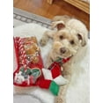 Midlee 5-piece Christmas Dog Toy Gift Set in Holiday Stocking - Walmart.com