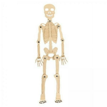 Tedco Toys 26087 4D Anatomy Didactic Exploded Skull Model - Walmart.com