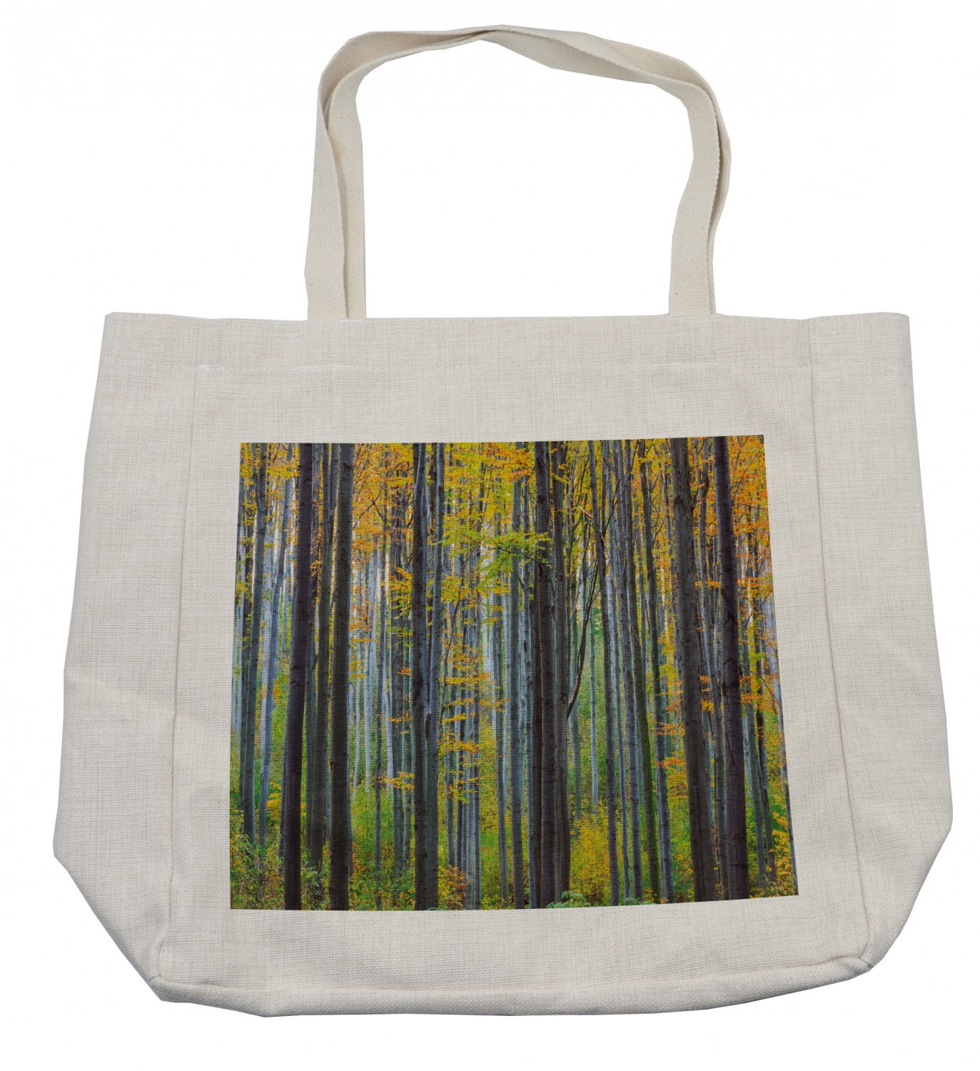 Fall Shopping Bag, Beech Fall Tree with Tall Bodies Wilderness Rural ...