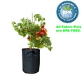 2 Gal. Breathable Fabric Root Aeration Pot with Handles (10-Pack ...