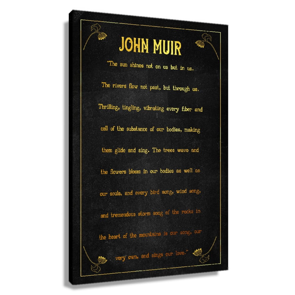 John Muir Quote Wall Art Prints Poster Pictures for Living Room Artwork ...