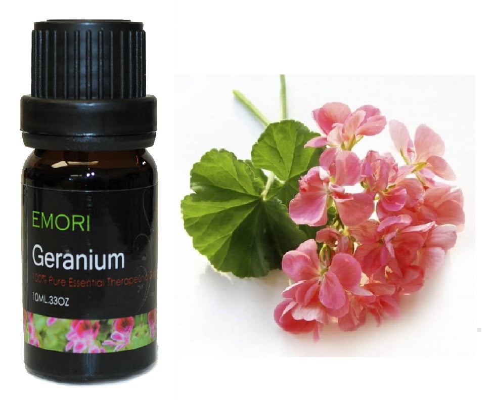 Geranium 100% Pure Essential Oil Therapeutic Grade - 10 ml - Walmart.com