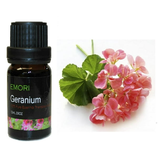 Geranium 100% Pure Essential Oil Therapeutic Grade - 10 ml - Walmart.com