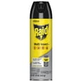 Raid Defense System Indoor and Outdoor Ants, Roaches, Spiders and Flies ...