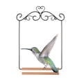 Hummingbird Perch Swing Toy With Swinging Function And Easy ...