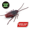 Zuru 38506 ROBO Alive Crawling Cockroach Series 2, Assorted Designs and ...