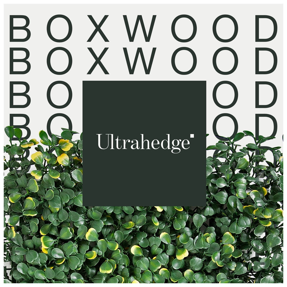 UltraHedge Small Boxwood Artificial Hedge 20" x 20" Panel, Small Leaf ...