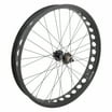 Wheel Master 29 inch Alloy Mountain Disc Wheelset with DT XM 401 Rims ...