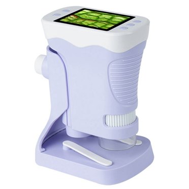 4D Vision Dog Anatomy Model - Walmart.com